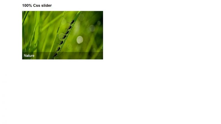 27 Best Free CSS Sliders In 2025 - Ventasoftware