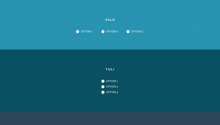 25 Best Free CSS Radio Buttons In 2025 | Ventasoftware